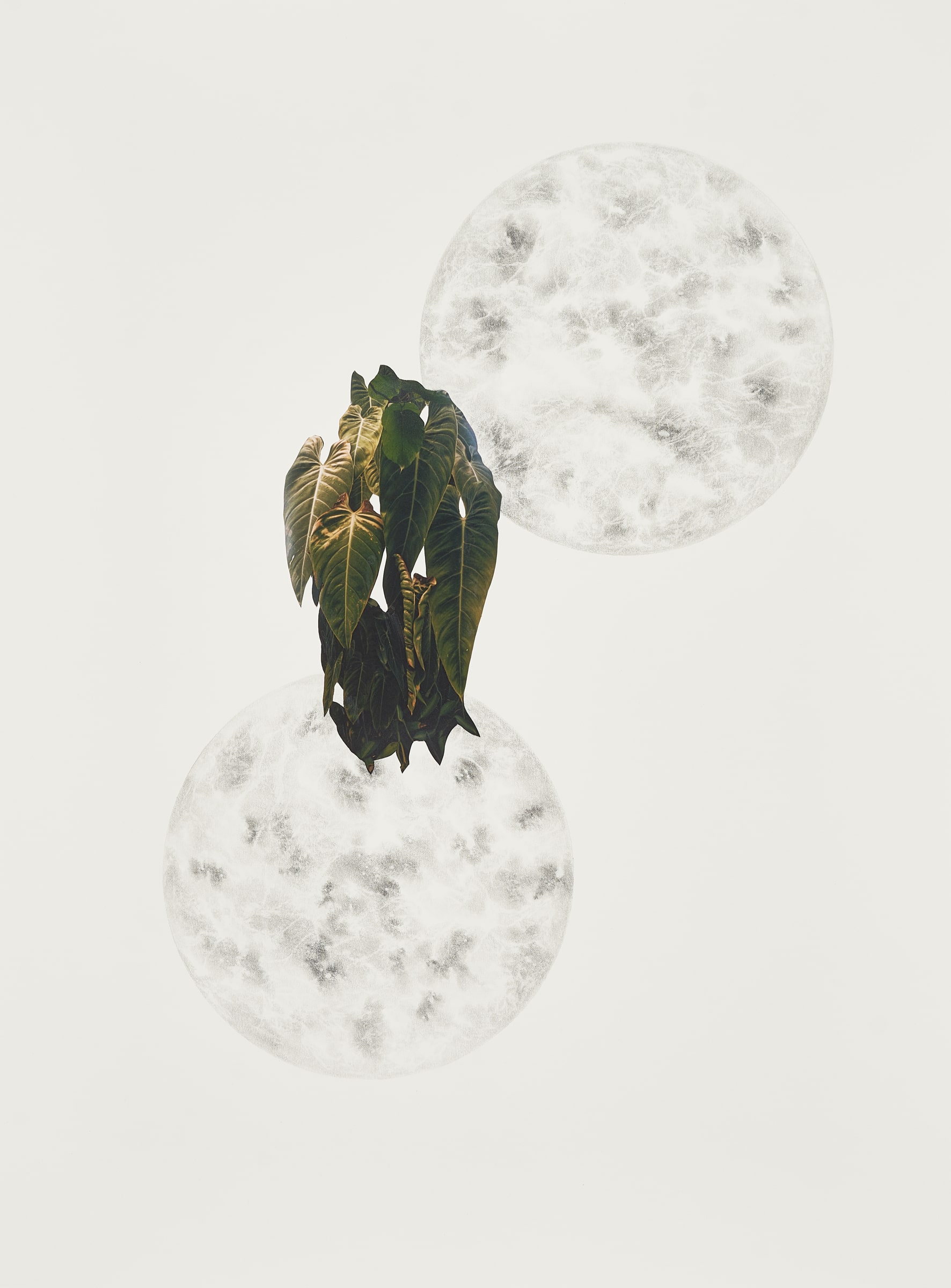 PSYCHOPOMP: Apnavi Makanji - India Art Fair